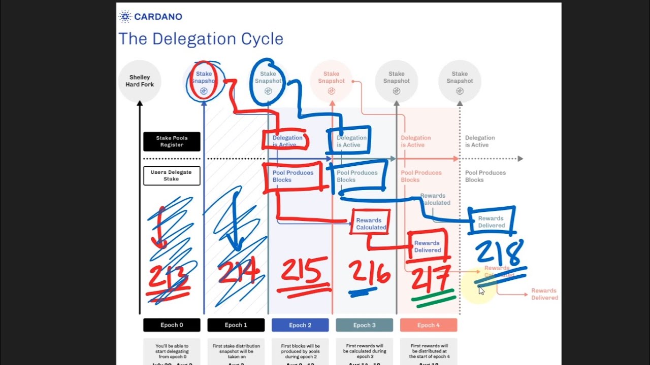 The Delegation Cycle and Staking Rewards Distribution Schedule ...