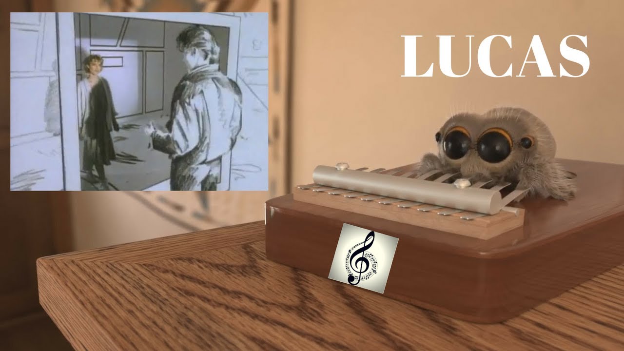 The world's most musical spider (a-ha - Take On Me) - YouTube