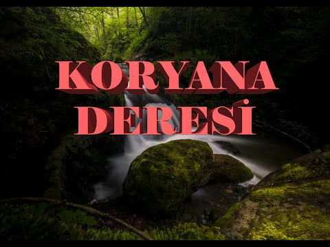 Koryana Deresi (Acısu Köyü) Bir Yol Hikayesi