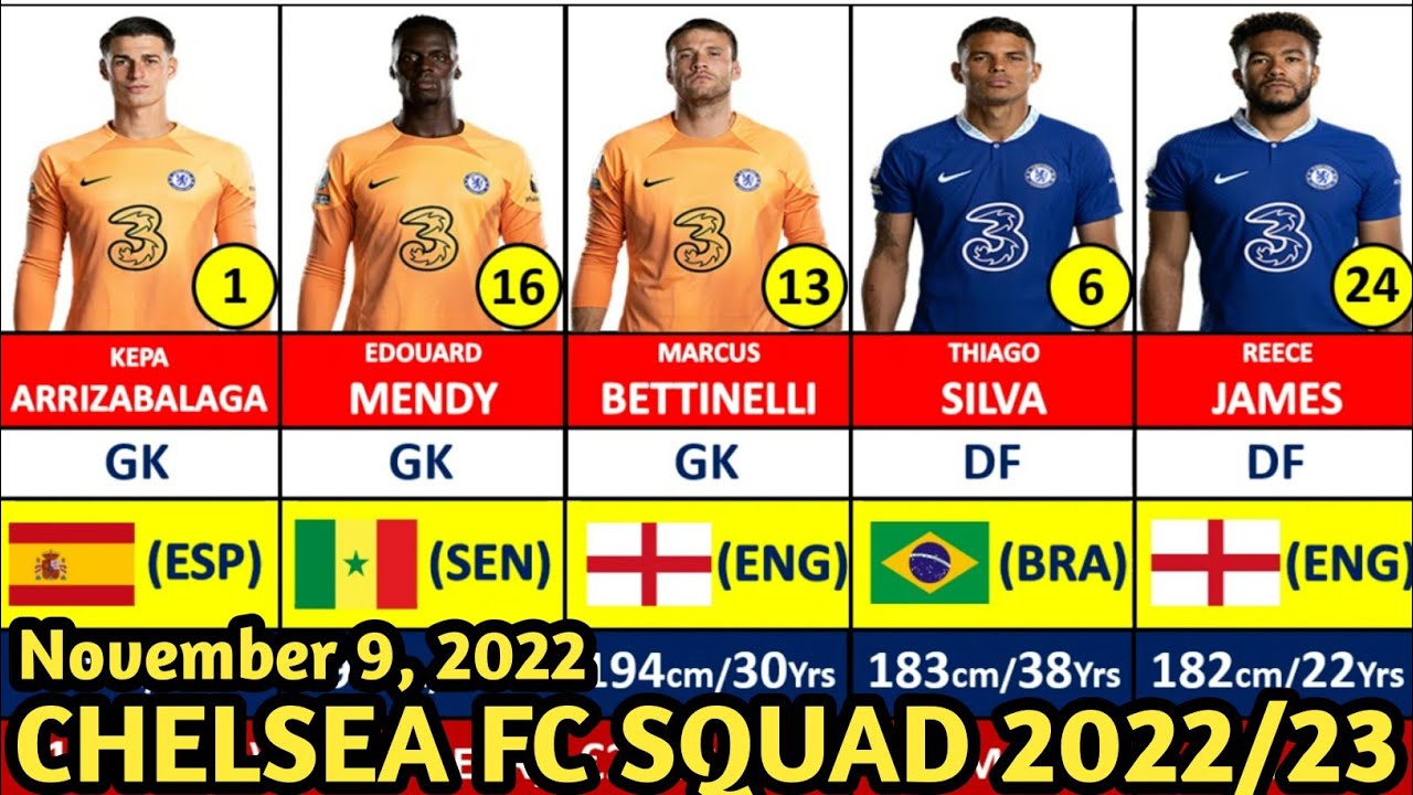 Chelsea FC Squad 2022/23 to Premier League Latest Update November 9 ...