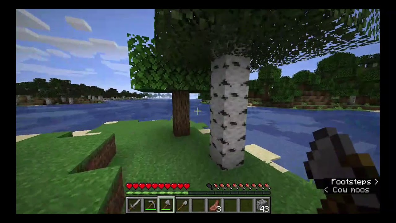 Starting world (Minecraft #1) - YouTube