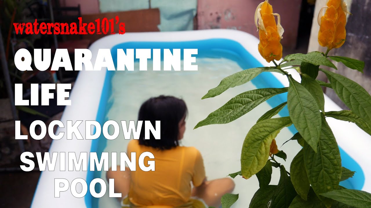 Quarantine Life: Lockdown Swimming Pool (Unboxing Bestway Inflatable ...