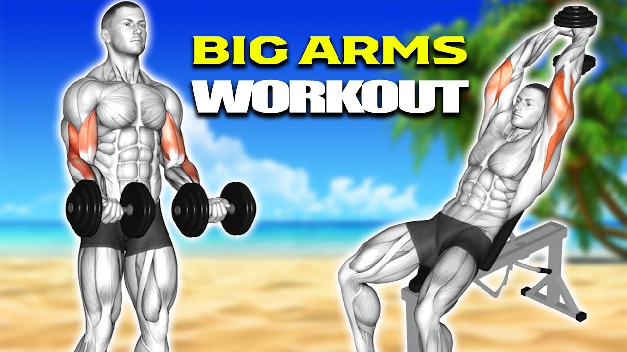 The perfect Arms exercises for you ( Biceps & Triceps ) - YouTube