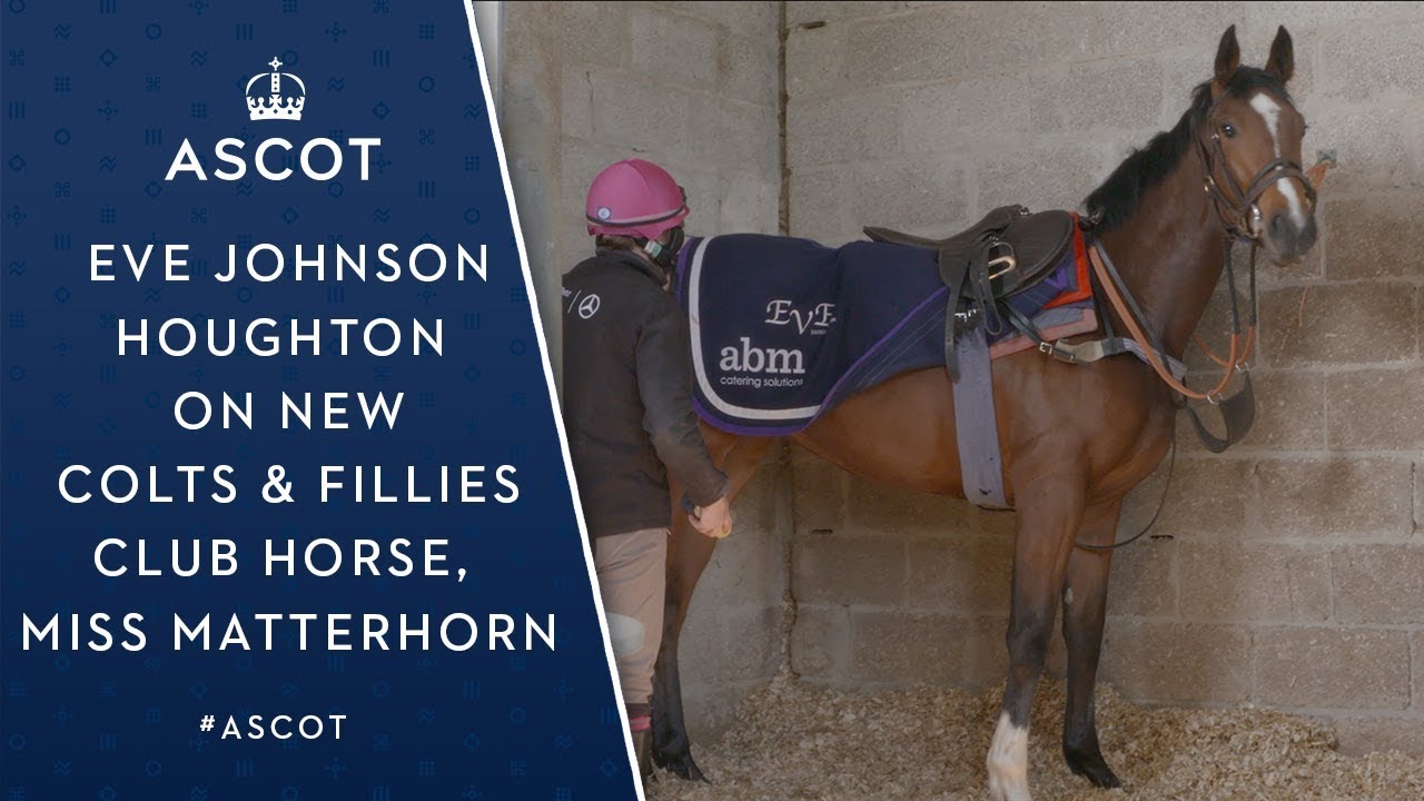 Eve Johnson Houghton on new Colts & Fillies horse Miss Matterhorn - YouTube