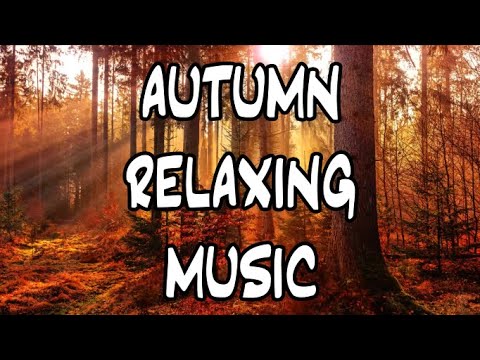 Relaxing Music 🍂 Autumn Leaves • Enchanting Autumn • Falling Leaves ...