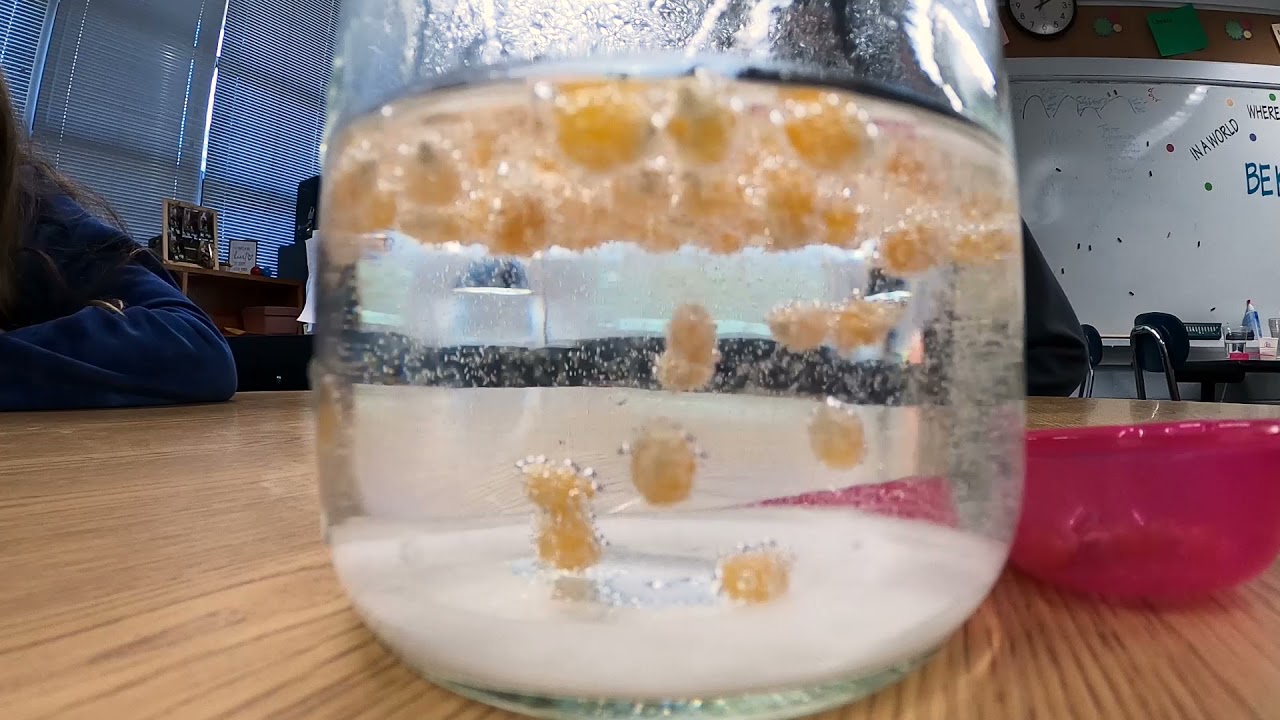 Corn Kernels Dance in Bell Elementary STEM Lab - YouTube
