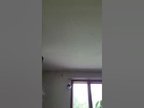 Many Mumbling Mice - vocal exercise - YouTube