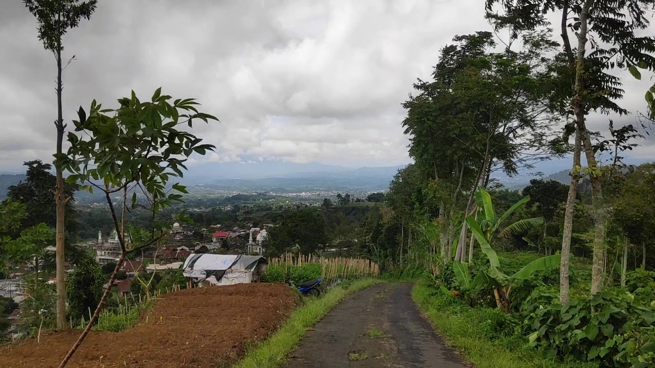 Jalan turunan dari gunung sumbing - YouTube