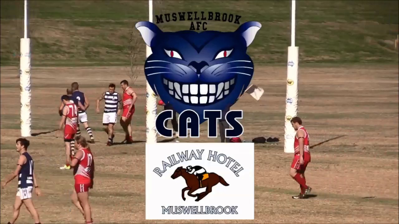 2016 BDAFL Round 12 Highlights - Singleton v Muswellbrook Cats - YouTube