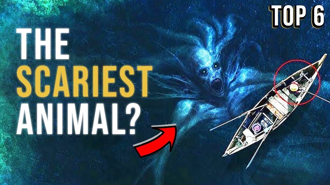 6 Most TERRIFYING Sea Creatures That Actually Exist! - YouTube