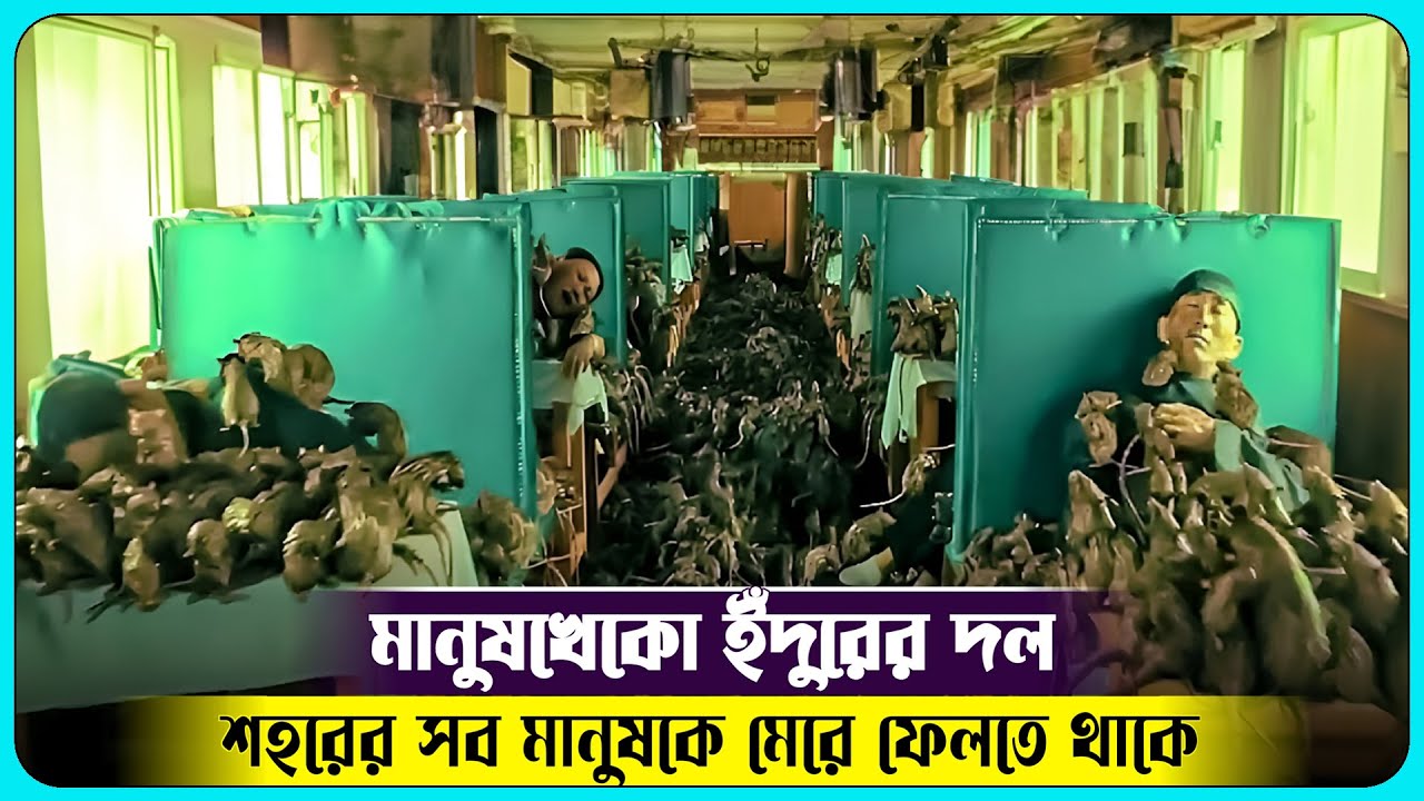 পুরো দেশ যখন ইঁদুরের দখলে | Rat Disaster Movie Explained in Bangla | Explainer Arju | - YouTube