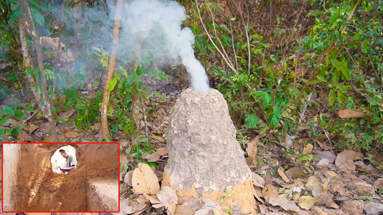 Amazing Bushcraft Building an Underground Shelter with fireplace ...