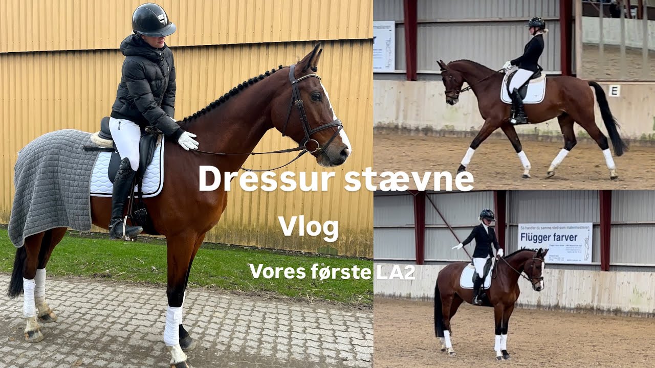 Dressur stævne vlog. Vores første LA i dressur (LA2) - YouTube