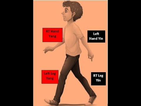 Dr Tan's Balance Method of Acupuncture - YouTube