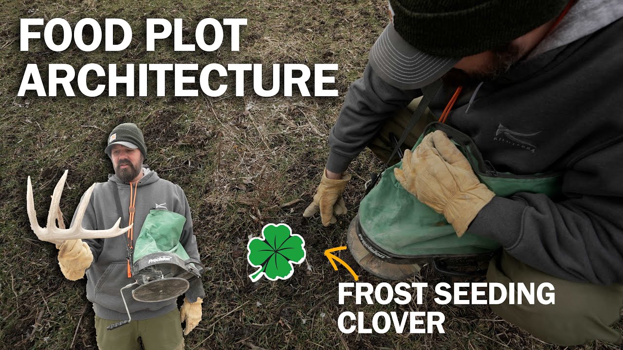 Frost Seeding Clover | Food Plot Architecture on Southern Iowa Hunting ...