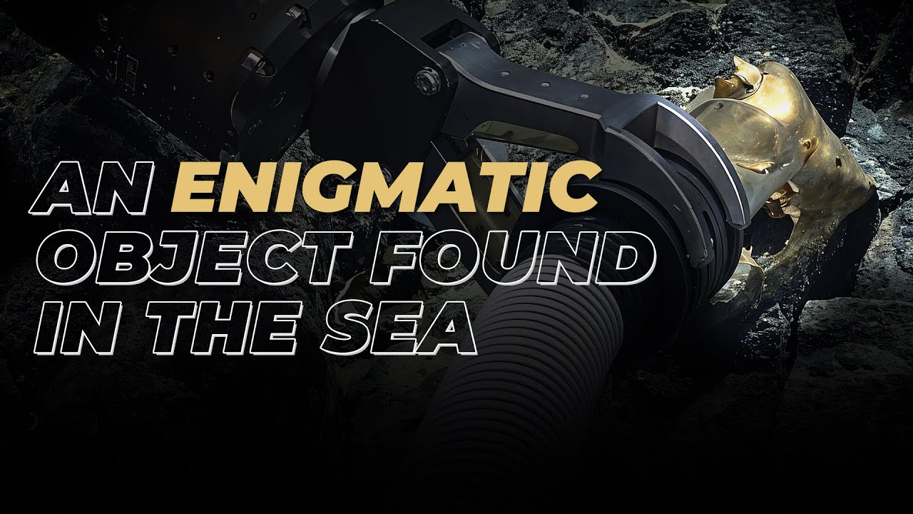 Ocean's Deepest Mystery: The Strange Golden Orb Discovery | 154/365 ...