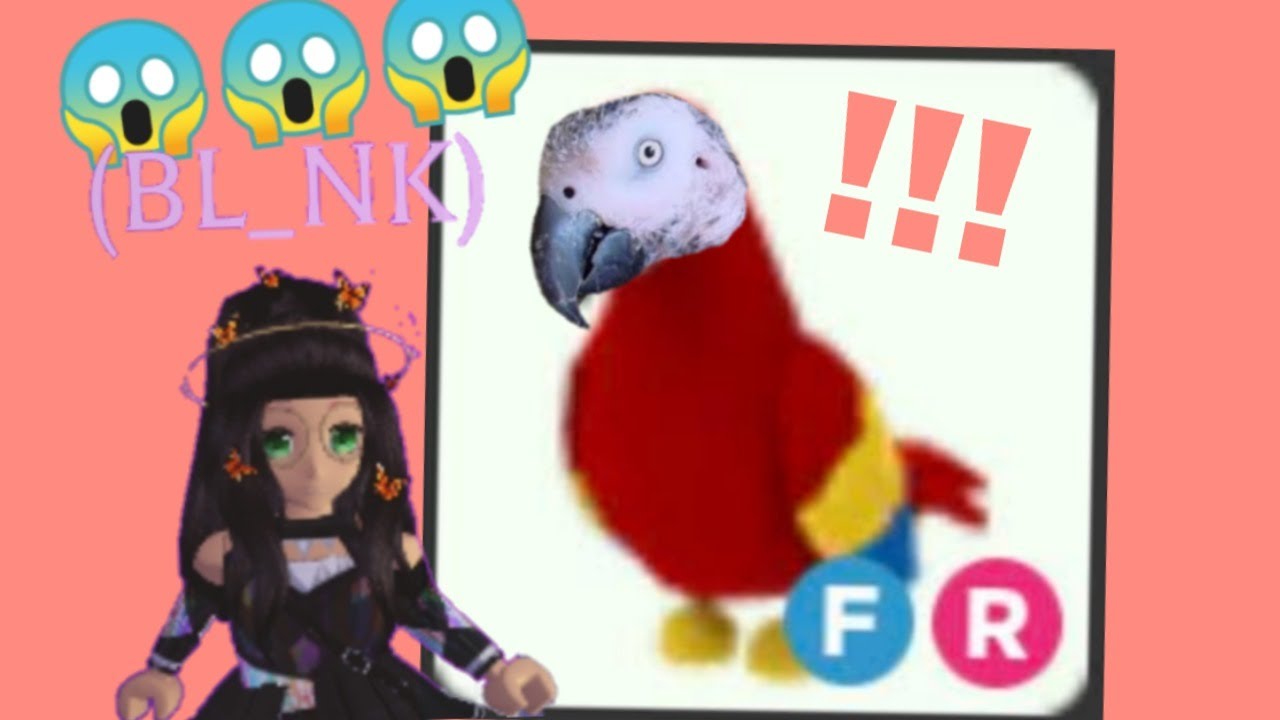 Trading My FR Parrot!!! What People Trade for Parrot?? || Roblox Adopt ...