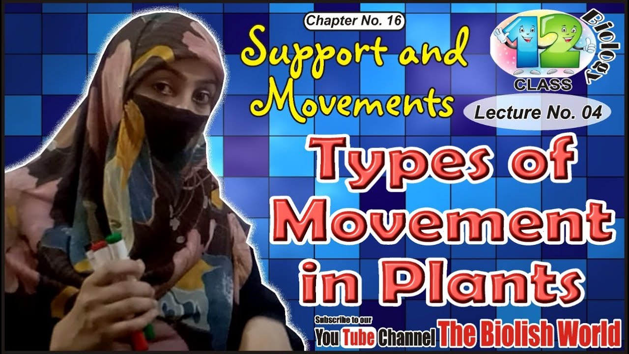 Types Of Movement In Plants YouTube types-of-movement-in-plants-youtube