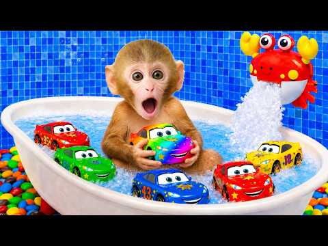 Monyet Kika Imut dan peti berkilauan yang penuh dengan harta karun misterius