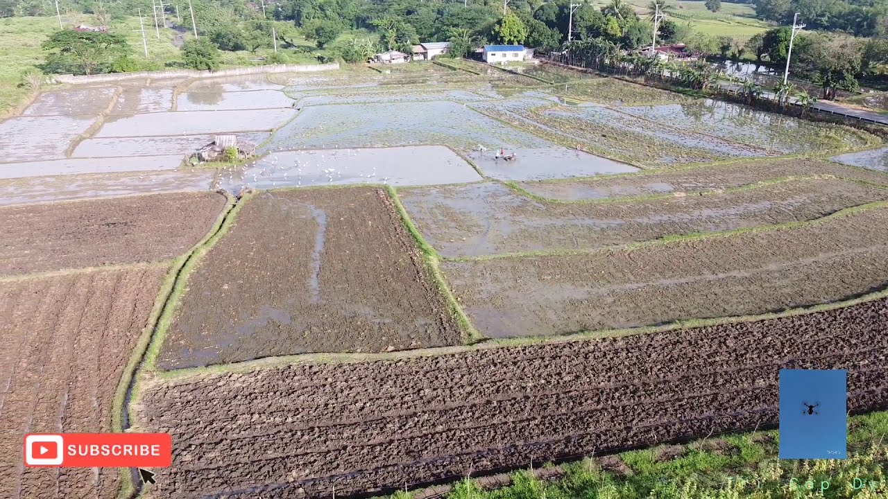 Rice Farm Aerial View Philippines - YouTube