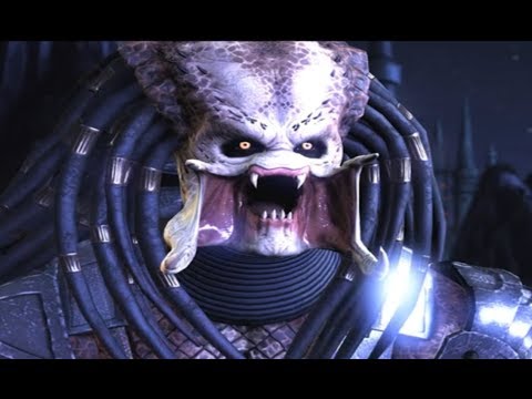 ХИЩНИК ЗАБРАЛ ЧЕРЕП СКОРПИОНА - YouTube