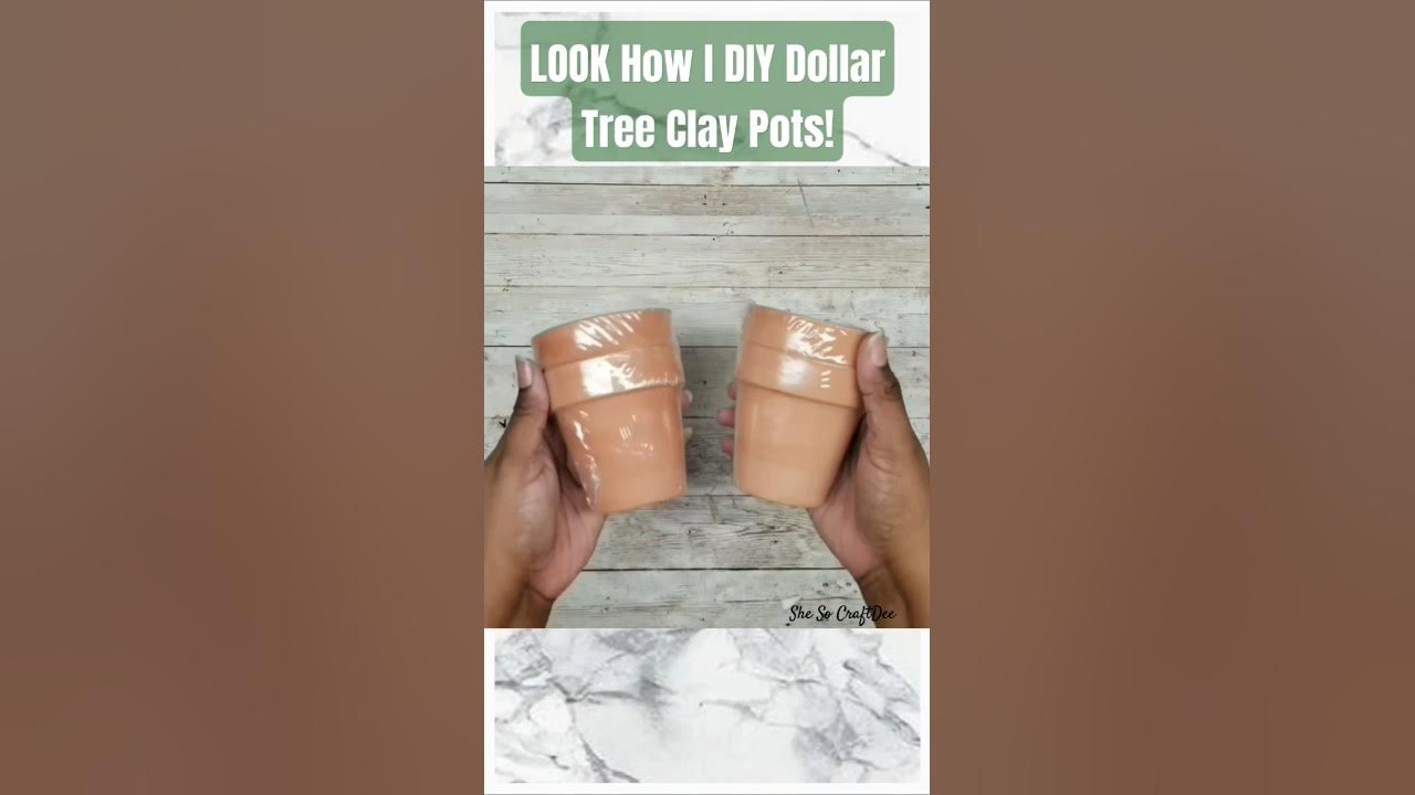 🔥 Grab These Dollar Tree Clay Pots for This DIY Idea! #dollartreediy #shesocraftdee #shorts ...