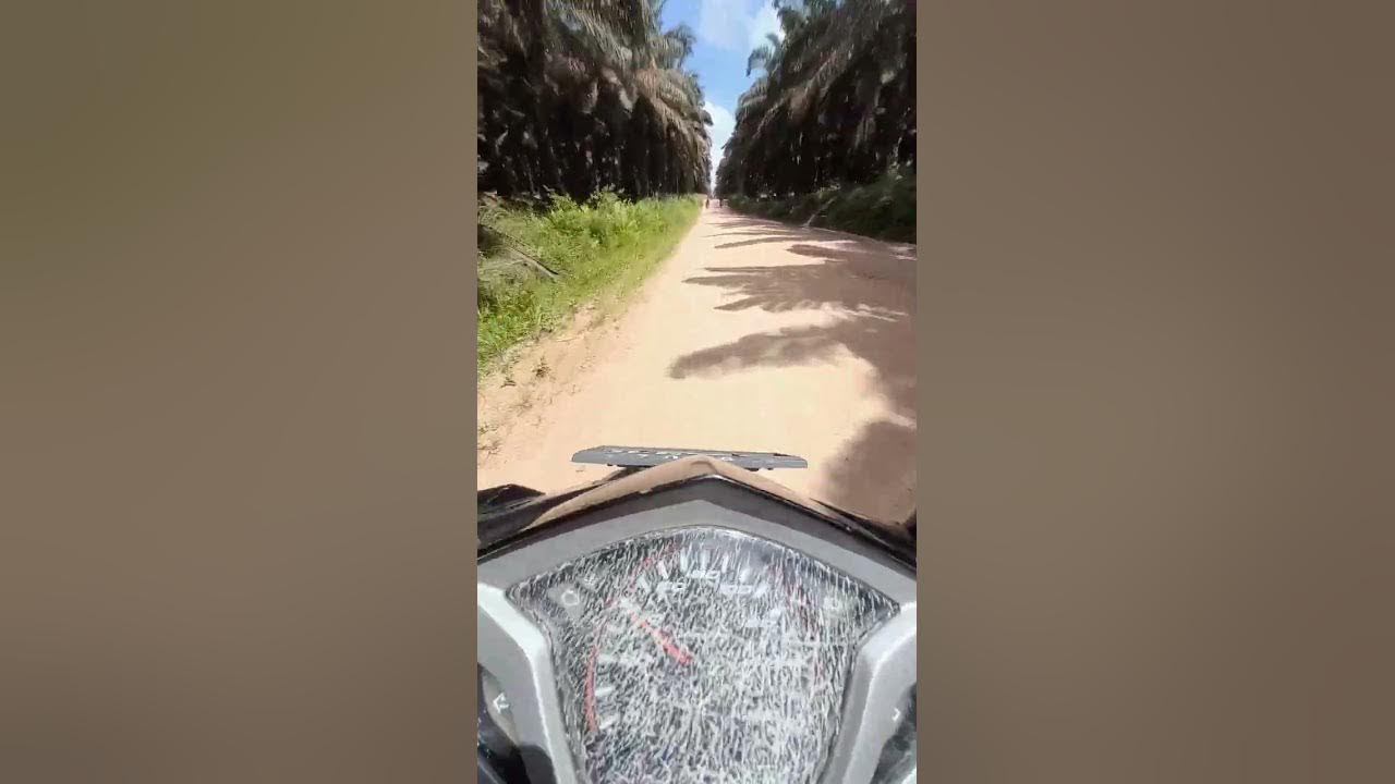 jalan air terjun sungai kelik nanga tayap di gunung air terjun - YouTube