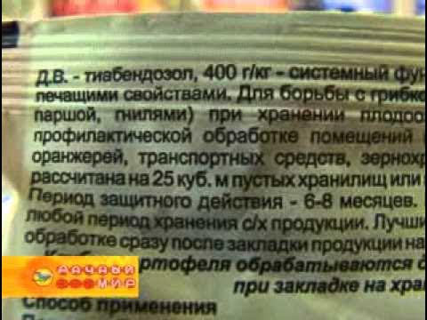 Вист шашка 5 гр - YouTube