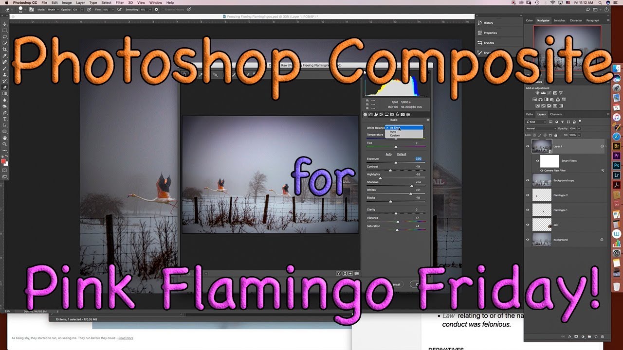 A Photoshop Composite Tutorial - Freezing Fleeing Felonious Flamingos ...