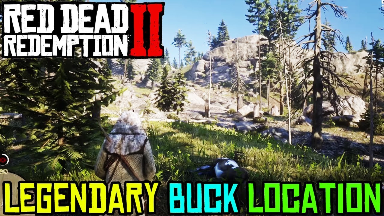 Red Dead Redemption 2 - LEGENDARY BUCK LOCATION - YouTube