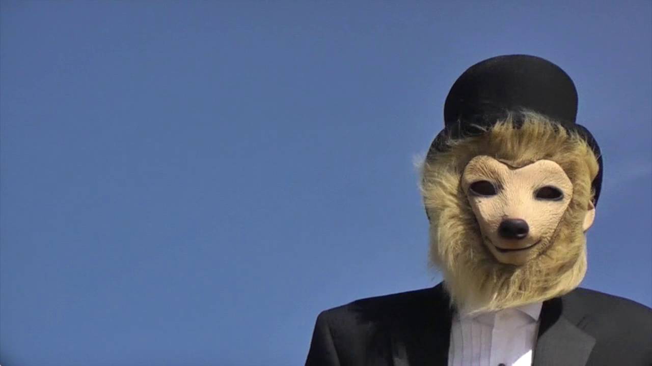 THE MEERCAT DANCE VIDEO 2015 BY FOWLER AND BROOKS - YouTube