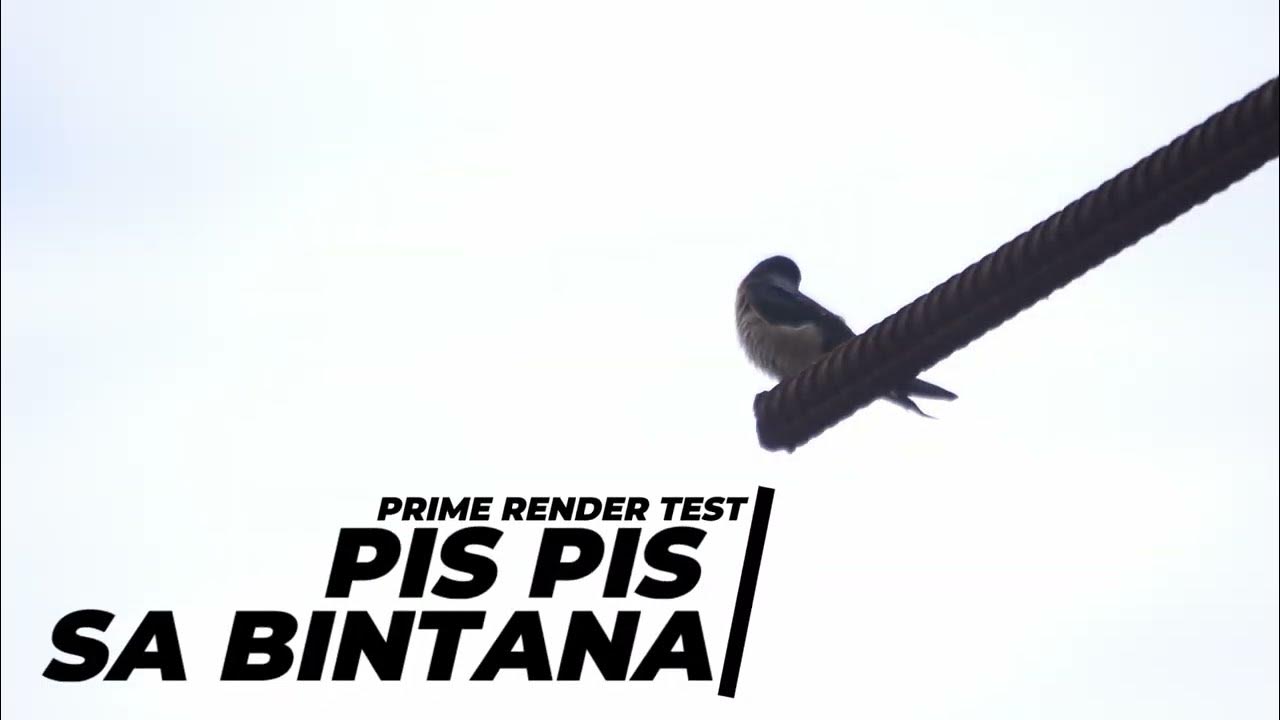 Ang Pispis - YouTube