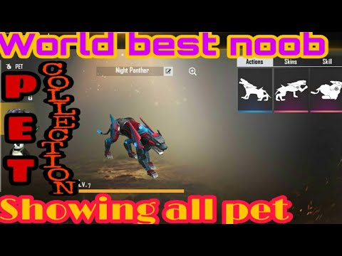 World best noob pet collection - YouTube