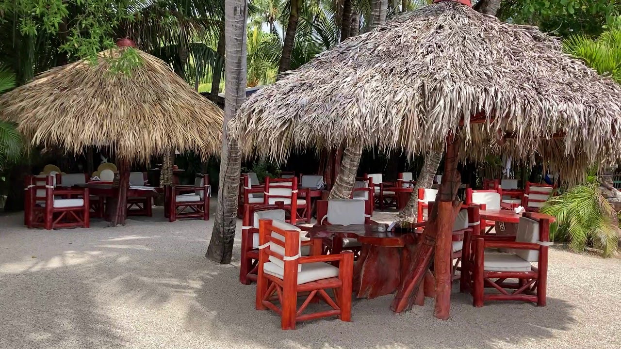 Locanda Samara Beach, Costa Rica January 2021 - YouTube