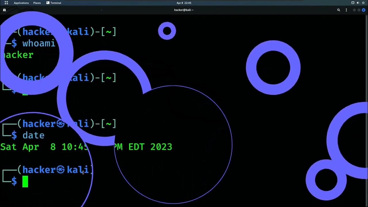 BASIC KALI LINUX COMMAND ! ADVANCED COURSE |CRASH COURSE | TERMINAL ...