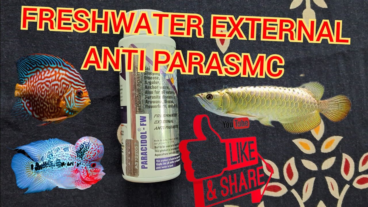 Paracidol fish medicine how to use fish medicine - YouTube