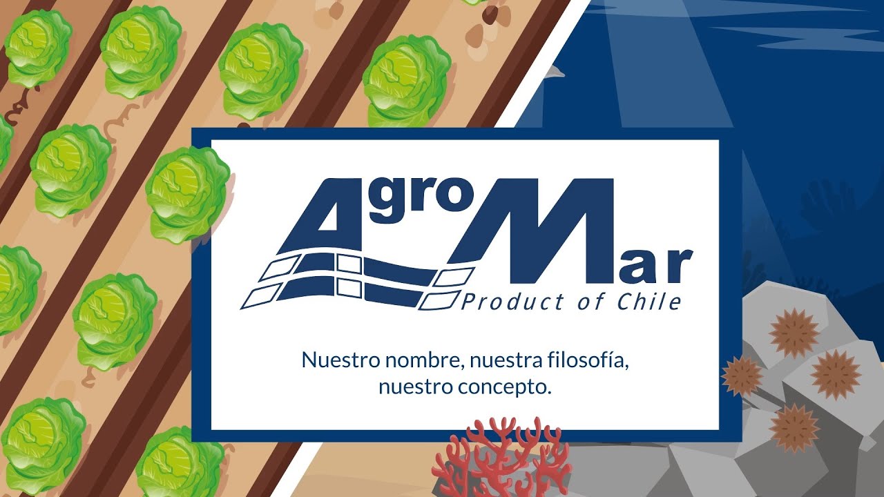 Video Explicativo AgroMar | Proceso Inocuidad | Video Marketing - YouTube