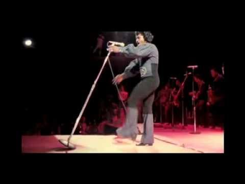 Phast Phreddie & Thee Precisions – West Hollywood Freeze-Out (1982 ...