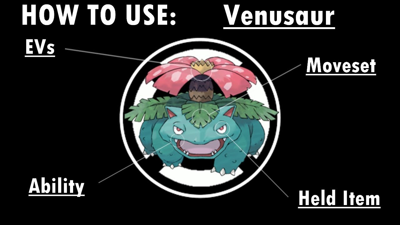 How to use Venusaur (& Mega-Venusaur) - YouTube