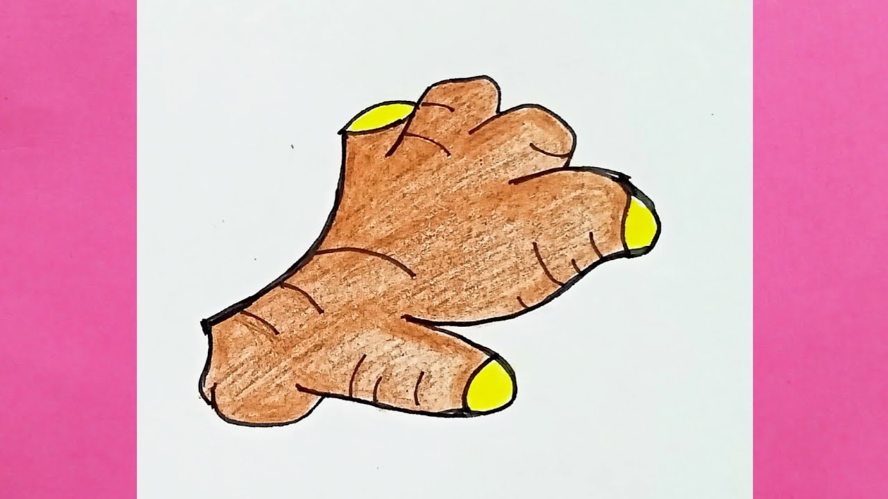How to Draw A GINGER || Ginger drawing easy step by step - YouTube