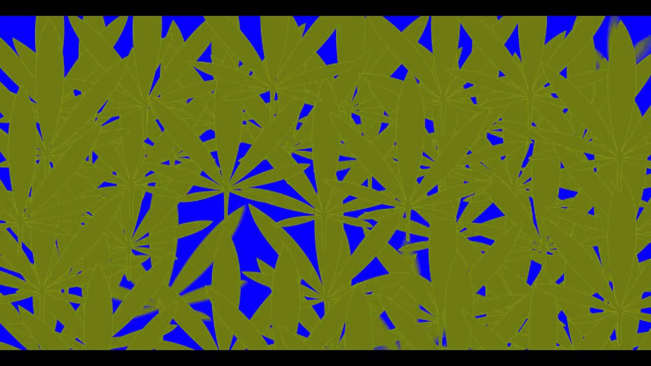 Weed Leaf Transition Greenscreen - YouTube