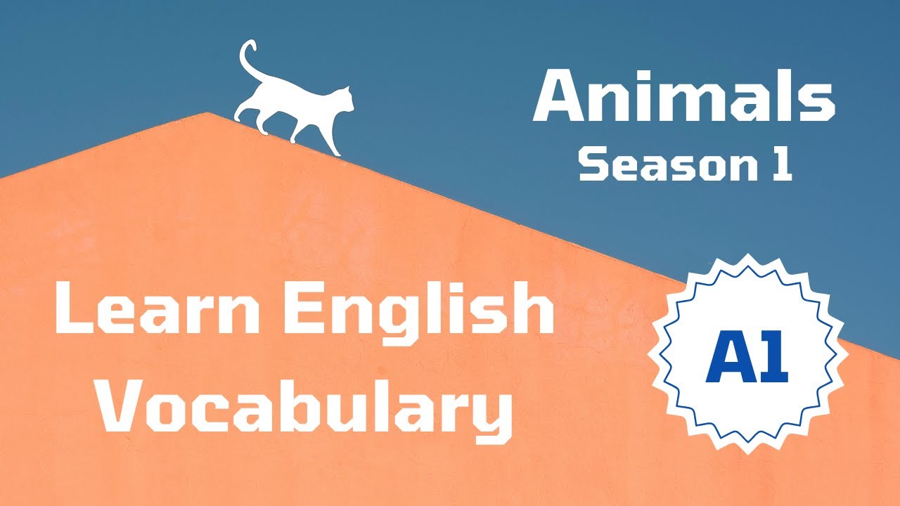 Learn English Vocabulary | Animal Names | S01E01 | A1 Level - YouTube