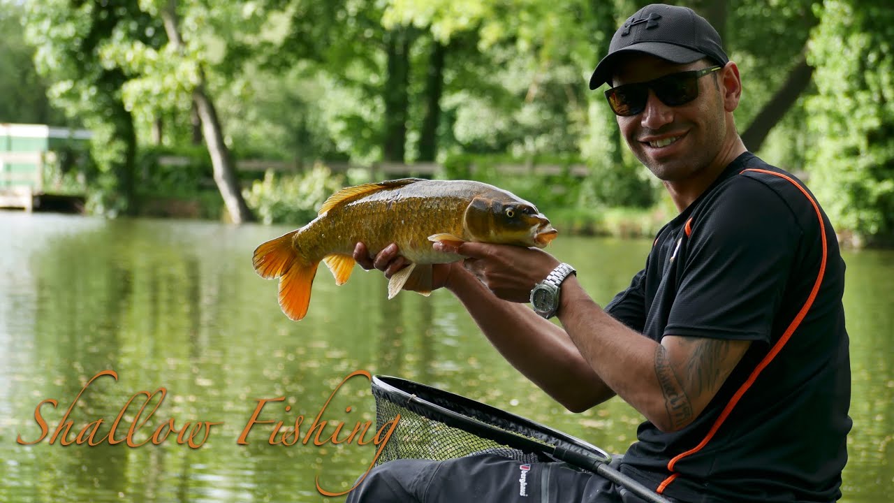 Fishing shallow for carp // Match Fishing // Big Carp // Coarse Fishing ...