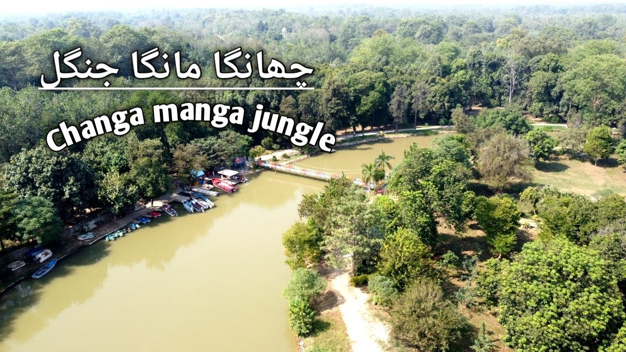 Changa manga the largest hand planted forest in world - YouTube