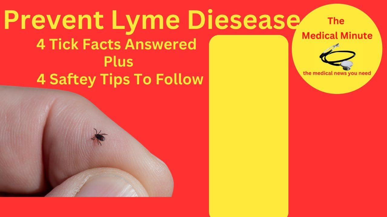 Prevent Lyme Disease: 4 Tick Myths - YouTube