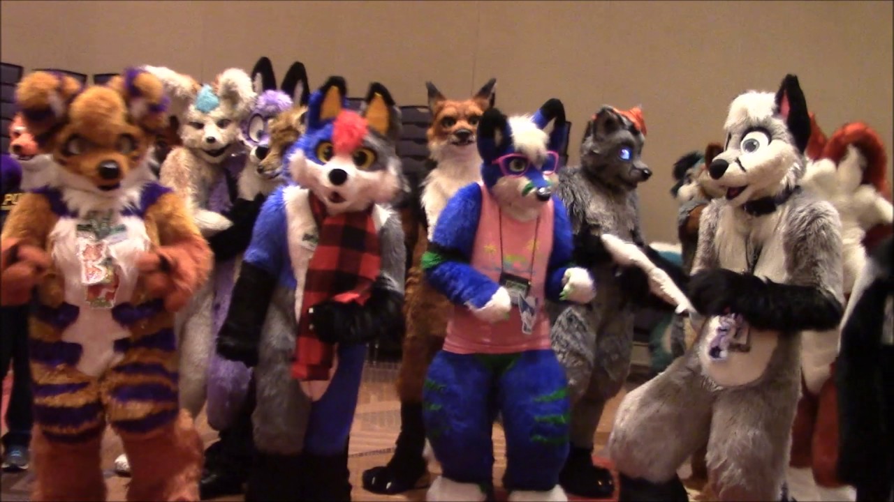 MIDWEST FURFEST 2016 - YouTube