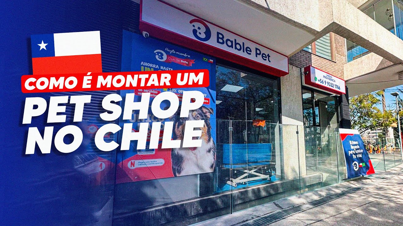 Como é montar um Pet Shop no Chile | Bable Pet - YouTube