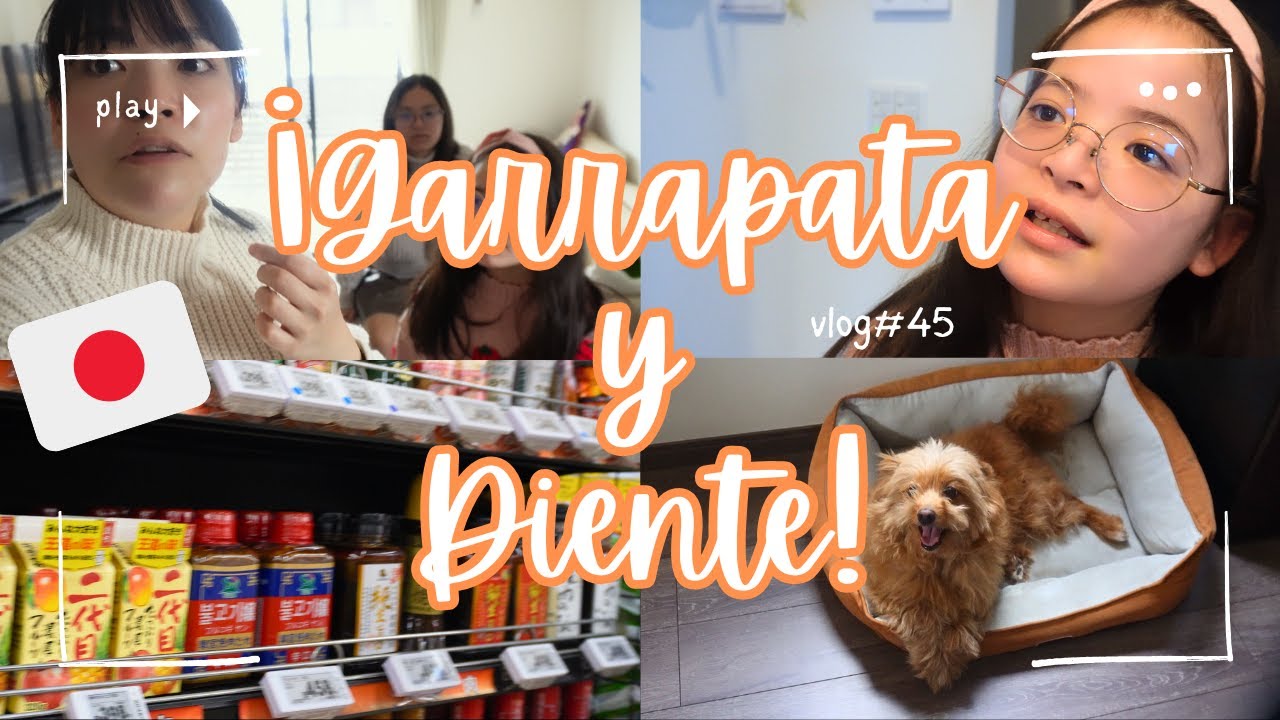 UNA GARRAPATA EN LULU!?🐶😖+MICA PIERDE UN DIENTE🦷Y NOS VAMOS AL SUPER🛒 ...