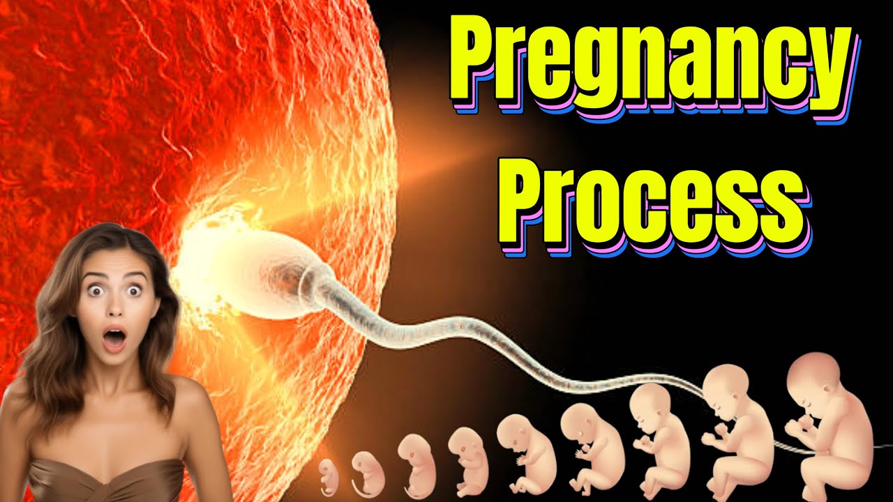 The Miracle of Life How the Pregnancy Process is Completed - YouTube