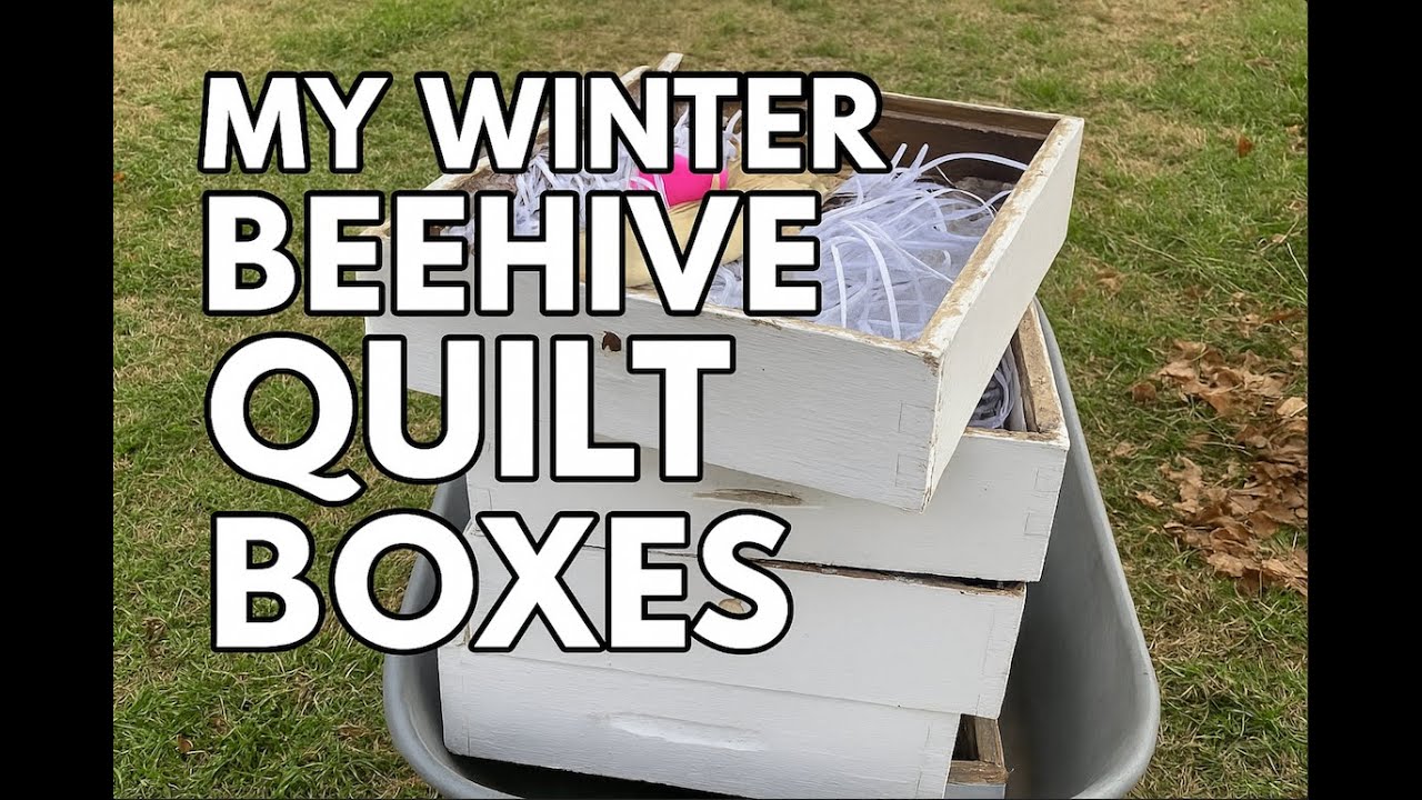 My Winter Beehive Quilt Boxes - YouTube